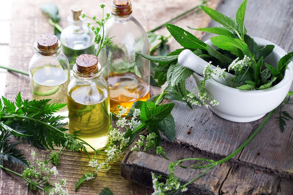Ecole de naturopathie IEMN - Institut Européen de Médecine Naturelle